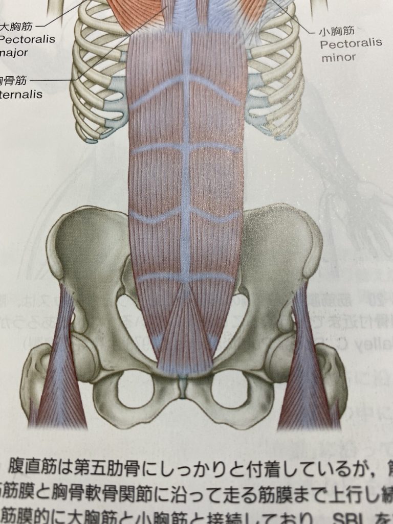3F Training | でんくらふと ＆2nd door